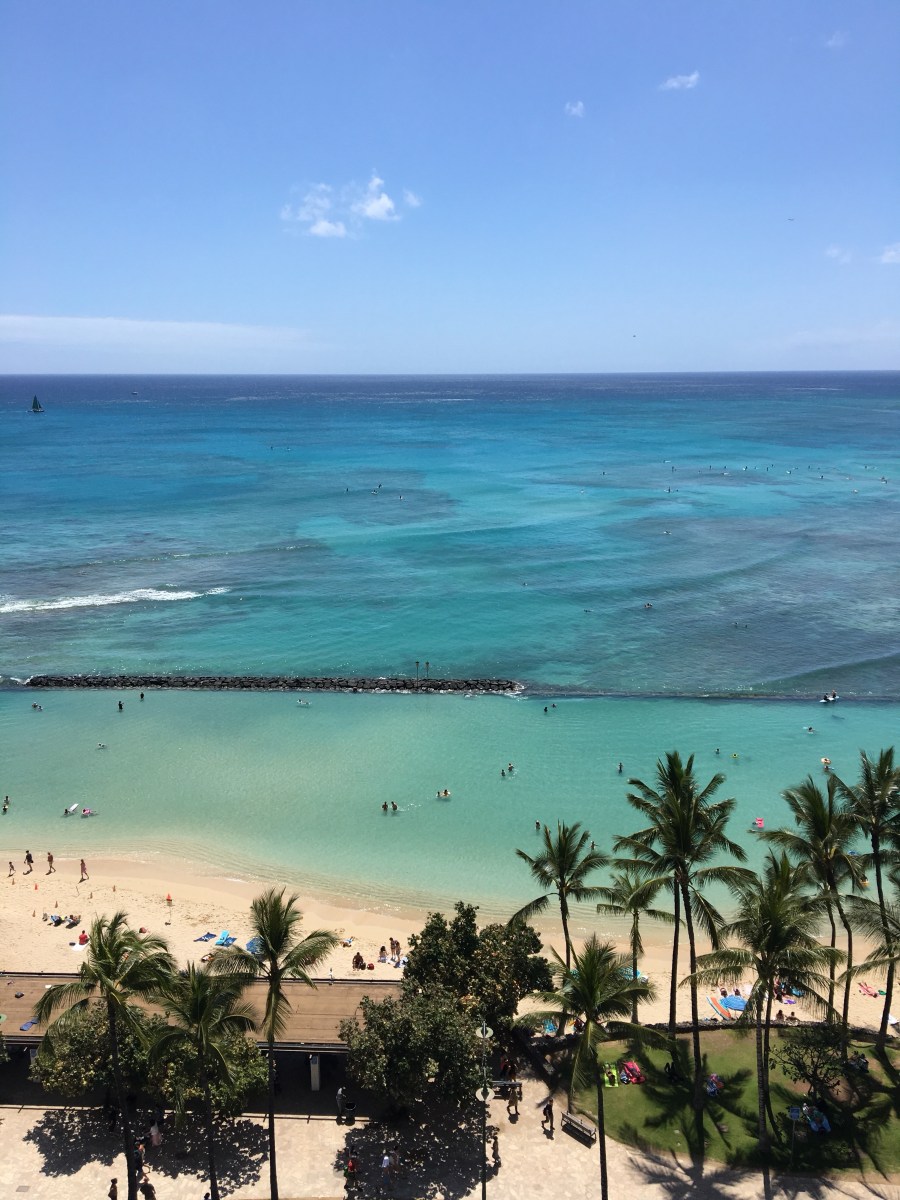 Simone and Her Books Travel to Hawaii – Simone and Her Books
